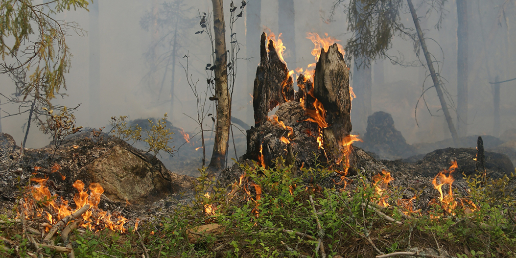 Vancouver Island Fire Crews Keep Blazes in Check | VanIsle.News