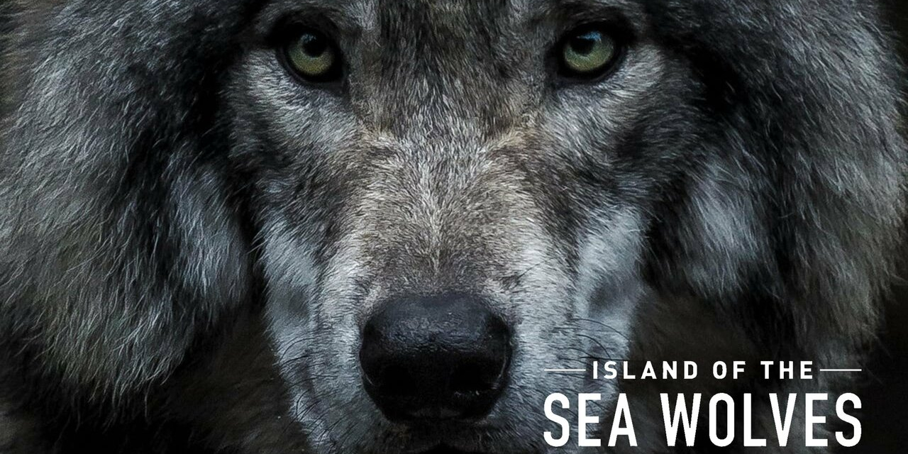 Island Filmed Epic Up For 7 Emmy's | VanIsle.News